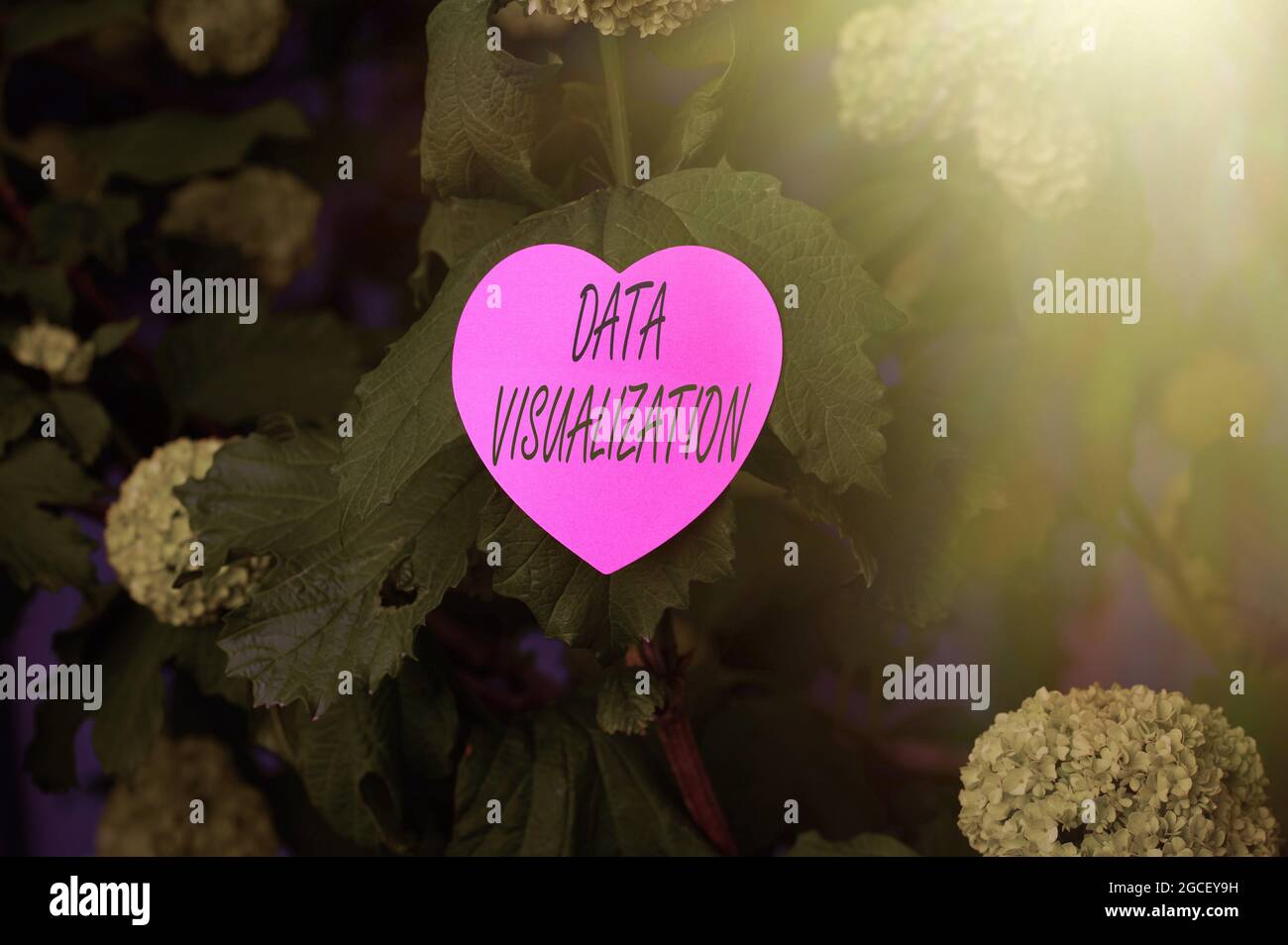 Text caption presenting Data Visualization. Business approach ...