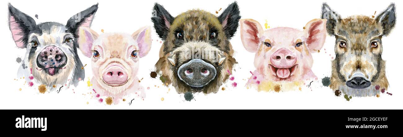 Cute border from watercolor portraits of pigs Stock Photo - Alamy