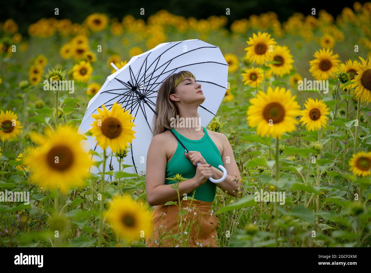 Chinner hi-res stock photography and images - Alamy