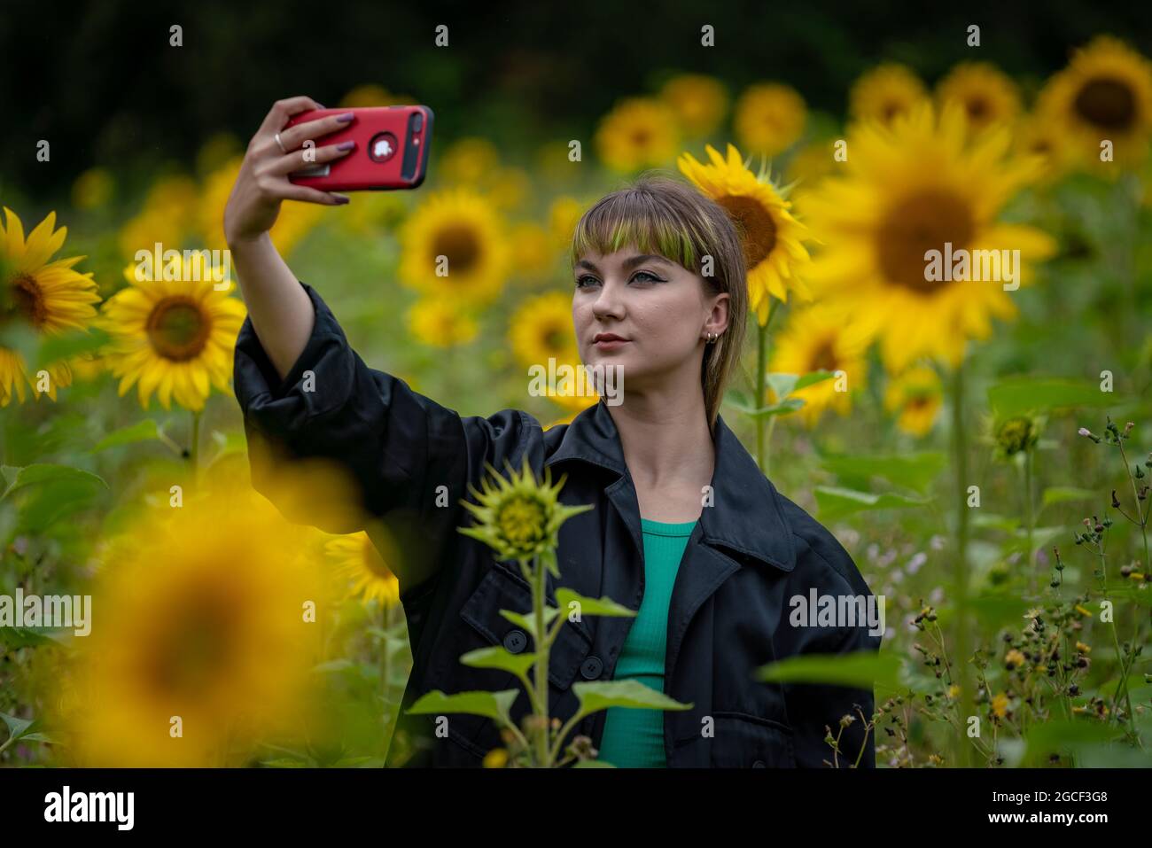 Chinner hi-res stock photography and images - Alamy