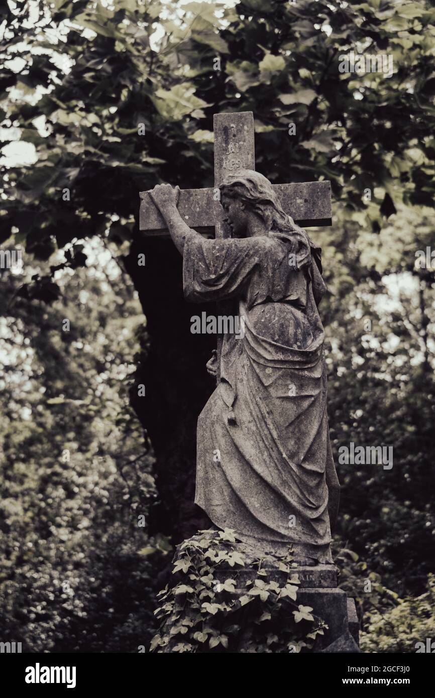 Victorian cemetery angel statue embracing cross amongst foliage Stock ...