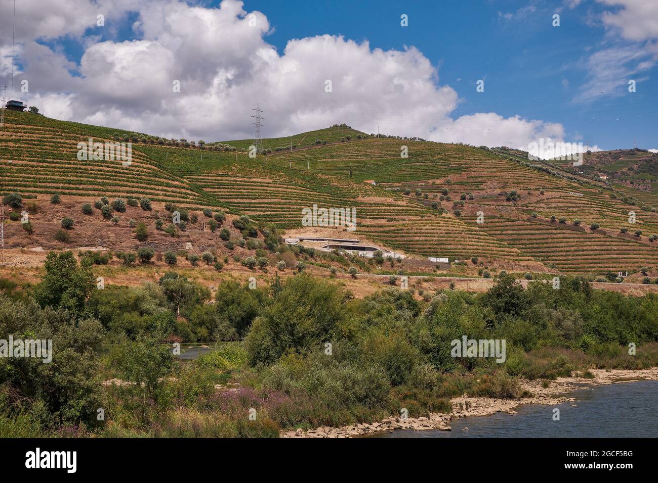 View from the Cruise Boat in Douro River Valley - Port Wine Region with ...