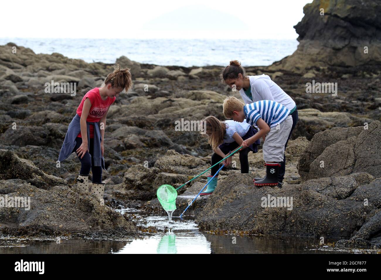Rock pooling children hi-res stock photography and images - Alamy