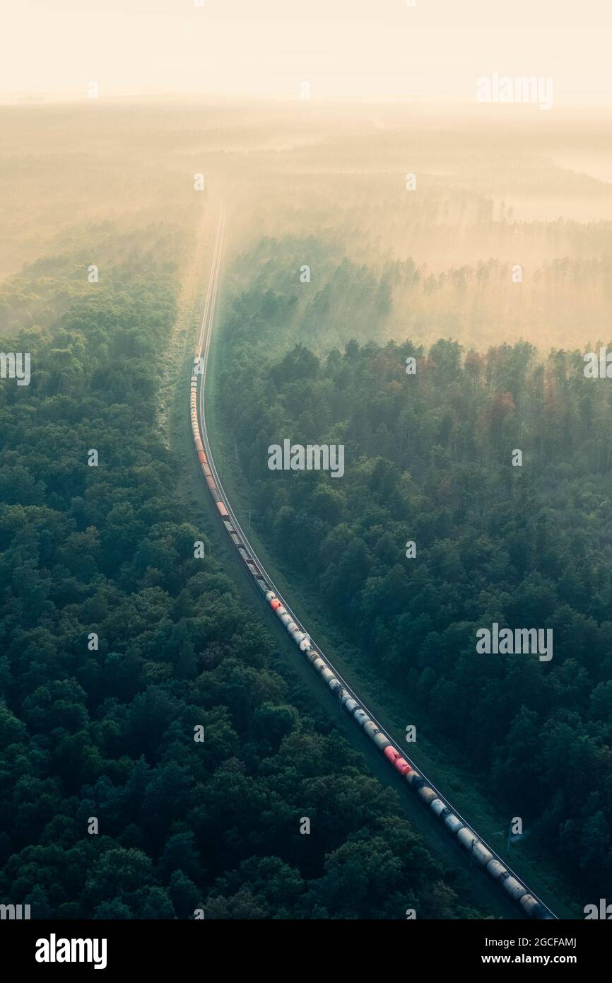 A vertical shot of freight trains on the tracks surrounded by a forest ...
