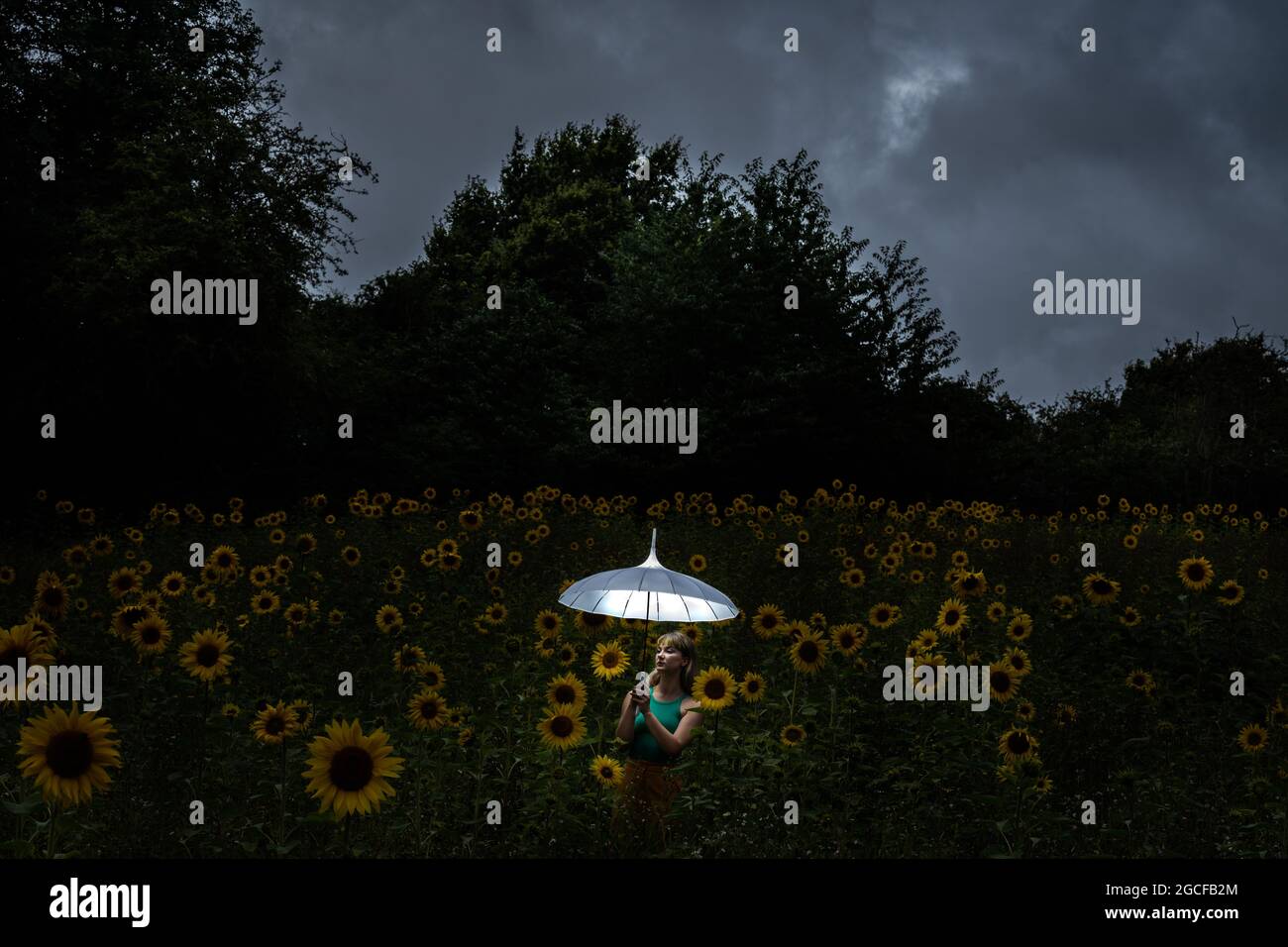 Chinner hi-res stock photography and images - Alamy