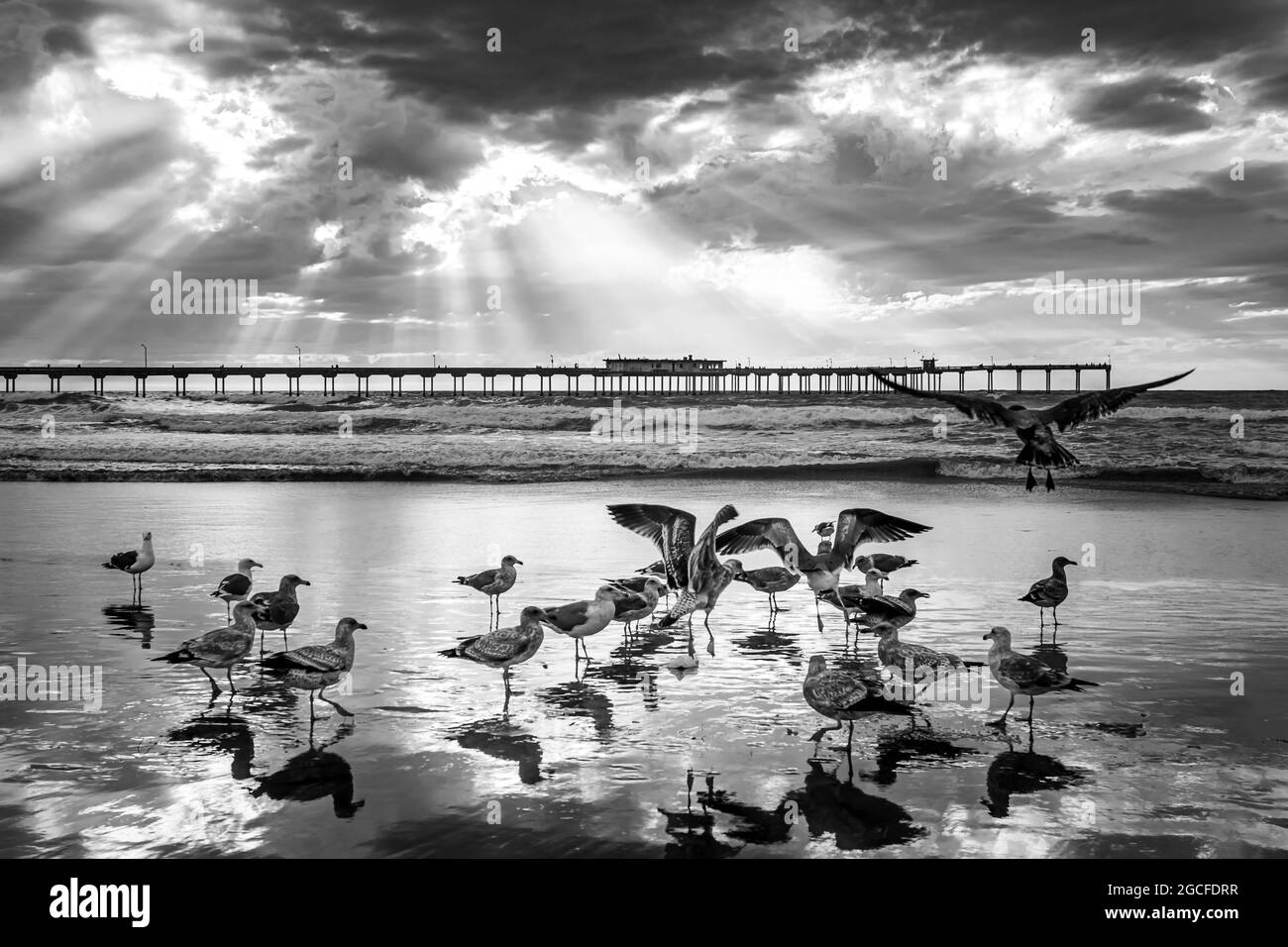 Point loma , san diego Black and White Stock Photos & Images - Alamy