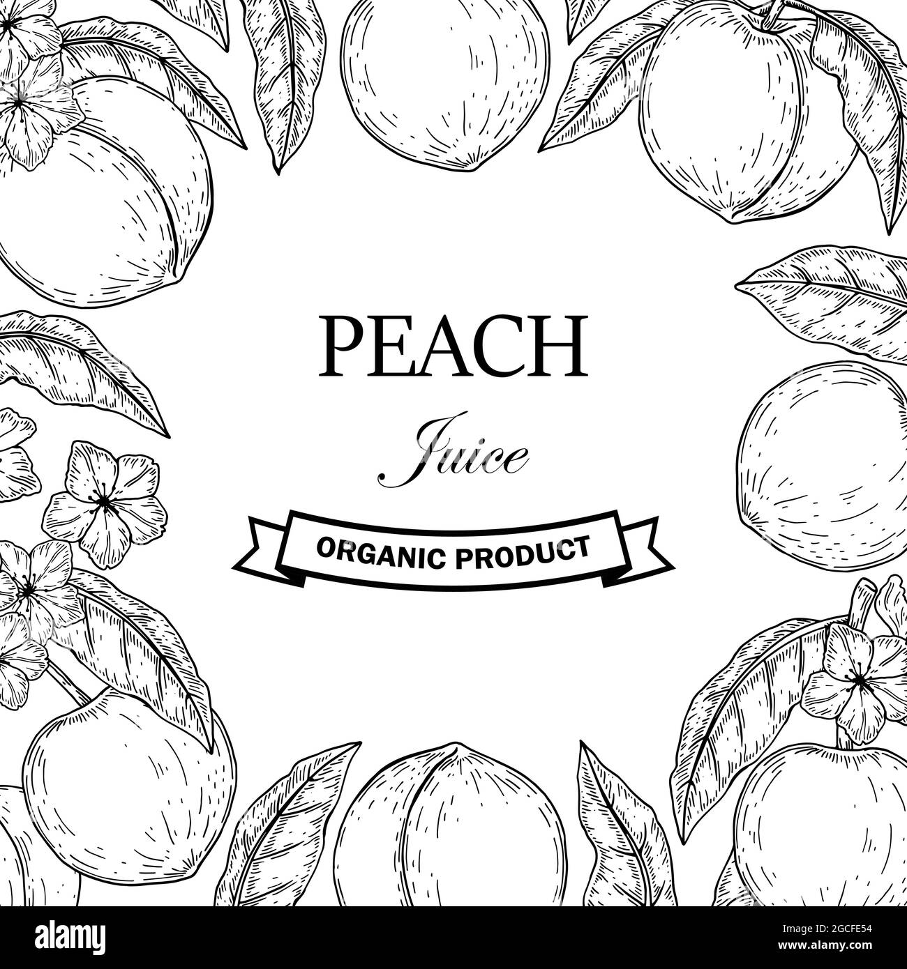 Hand drawn peach design. Vector illustration in sketch style Stock ...