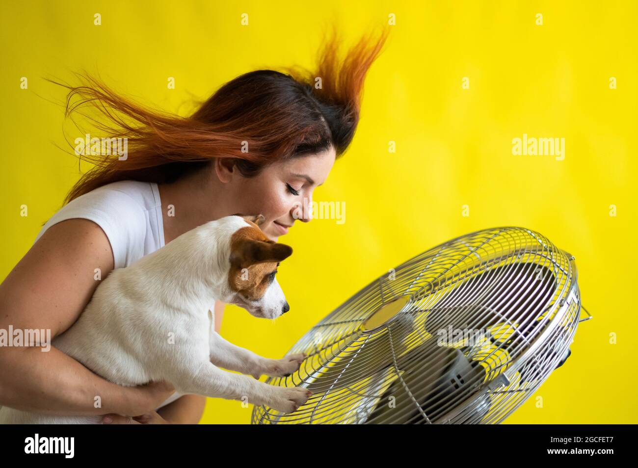 Electric fan dog hi-res stock photography and images - Alamy
