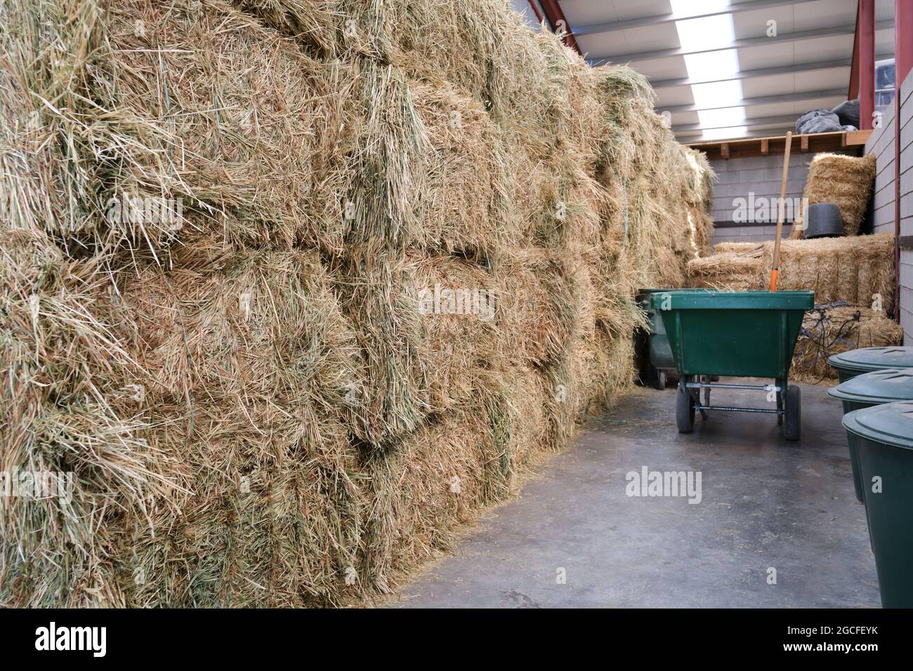 Straw bales stacked in a storeroom Stock Photo - Alamy