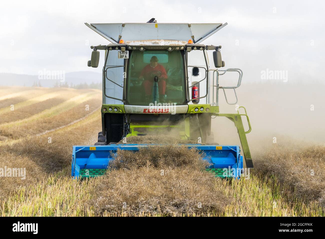 Farm, Cullen, Moray, UK. 8th Aug, 2021. UK. This is a Combine Harvester ...