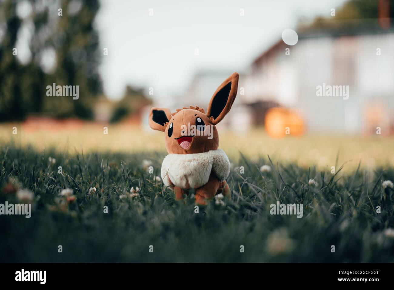 Eevee Stand In The Rain