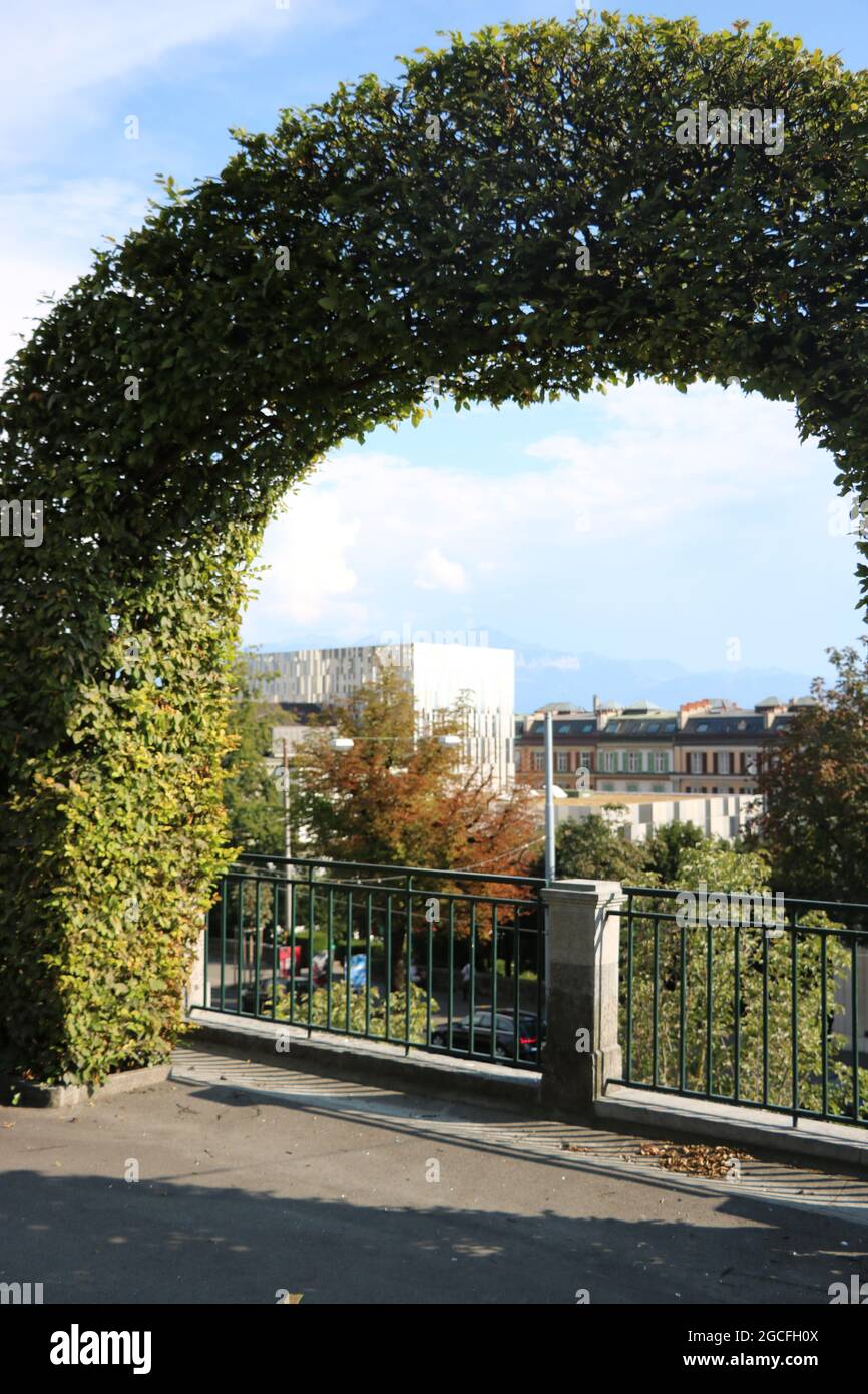 A vertical shot of a natural plant arbor surrounded by buildings in a ...