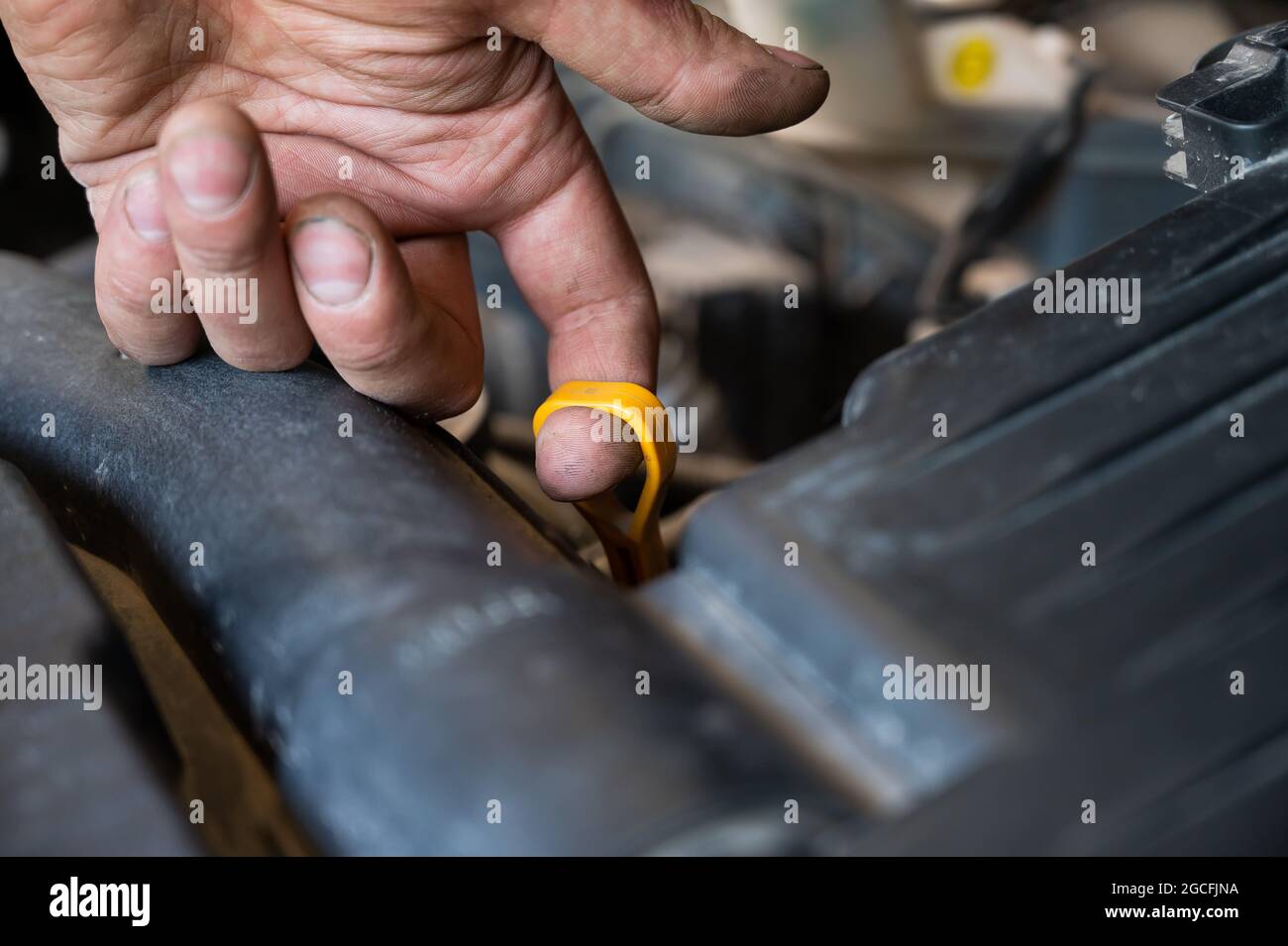 An auto mechanic pulls out a dipstick to check the oil level in a car engine Stock Photo - Alamy