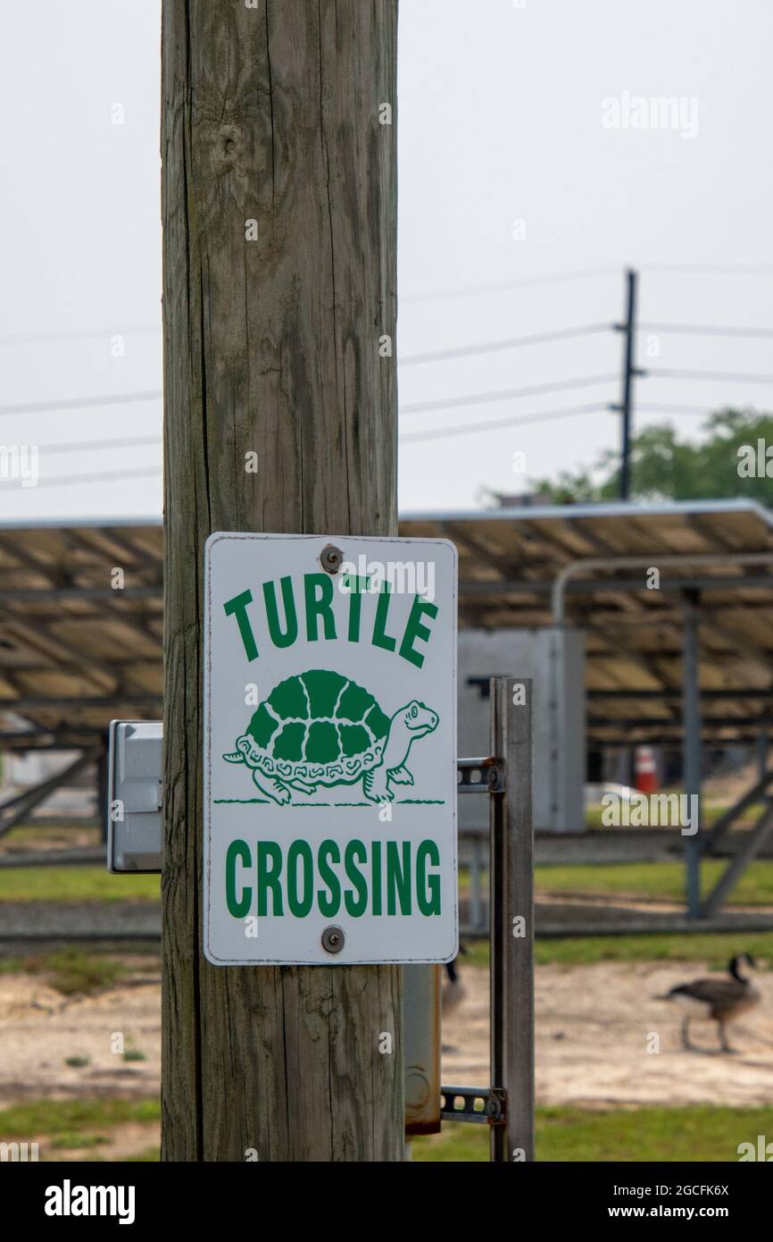 Turtle crossing road sign hi-res stock photography and images - Alamy