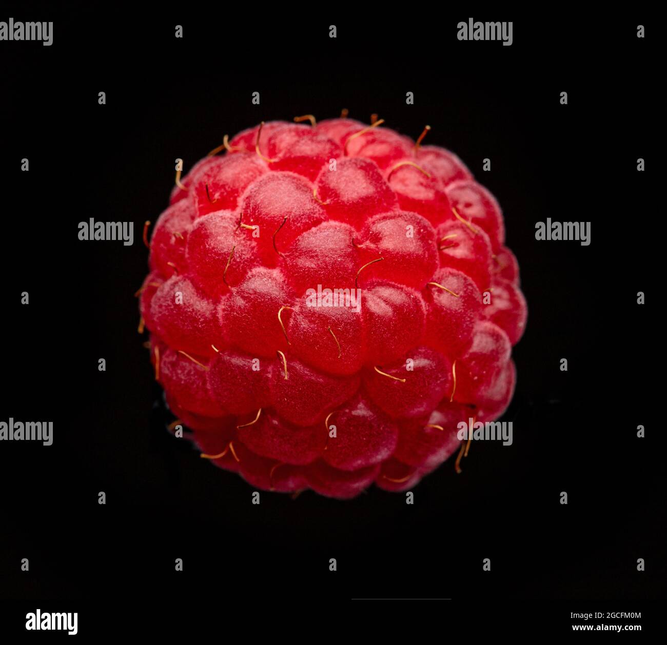 fresh red raspberry macro isolated on black background Stock Photo - Alamy