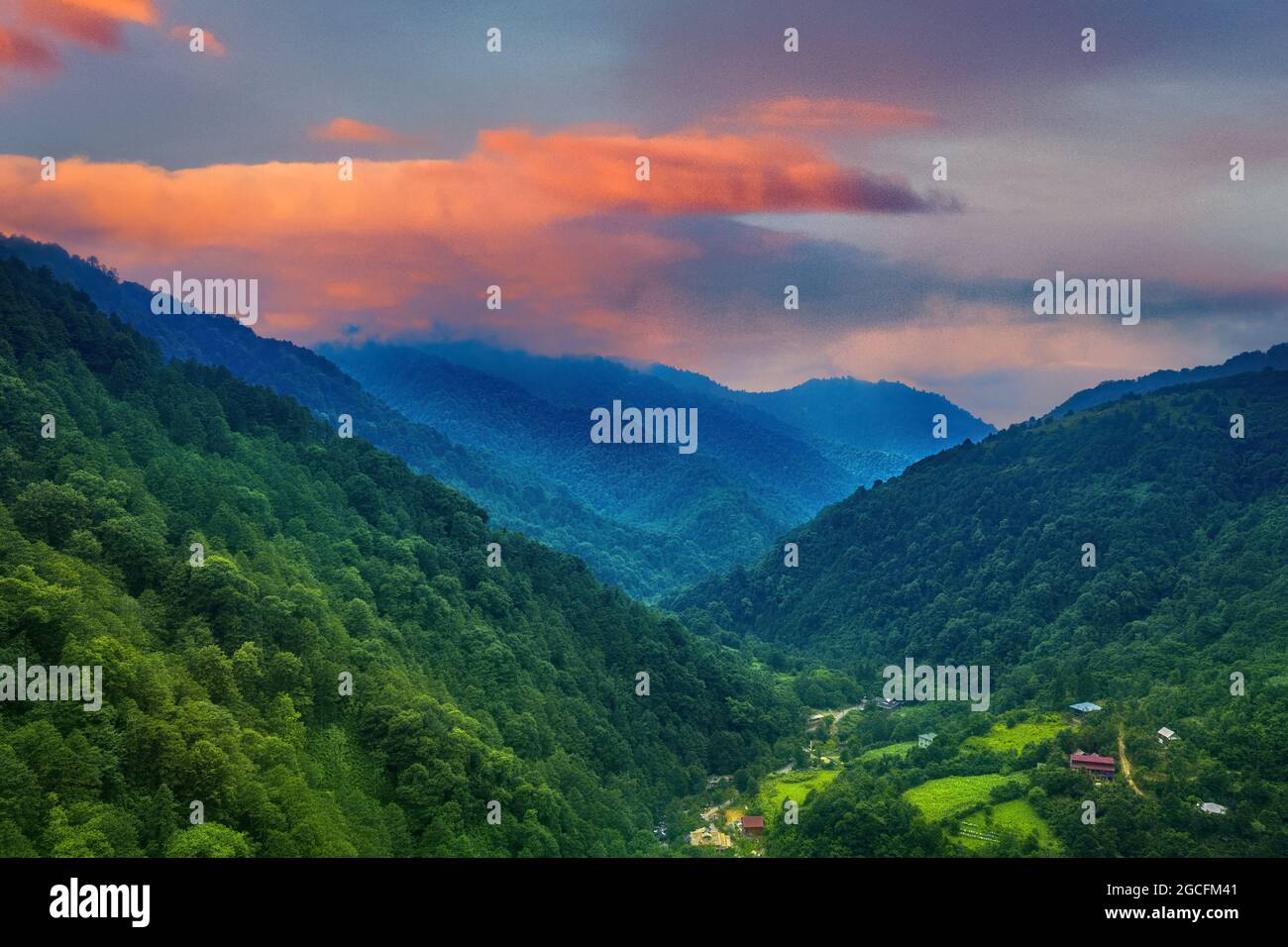 Mtirala National Park, Adjara, Georgia Stock Photo - Alamy