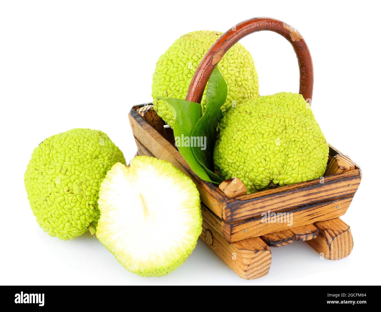Osage Orange fruits (Maclura pomifera) in basket, isolated on white ...