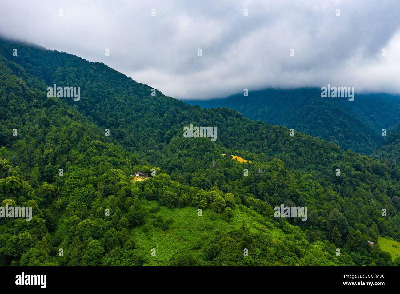Mtirala National Park, Adjara, Georgia Stock Photo - Alamy
