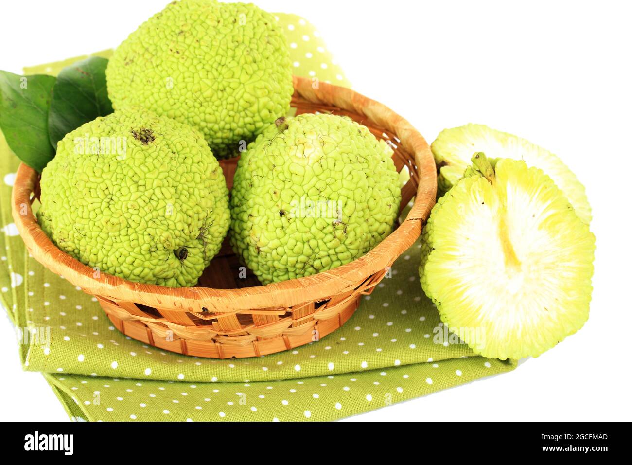 Osage Orange fruits (Maclura pomifera) in basket, isolated on white ...