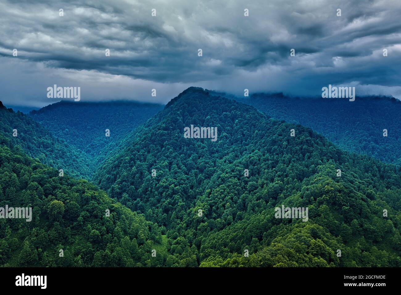 Mtirala National Park, Adjara, Georgia Stock Photo - Alamy