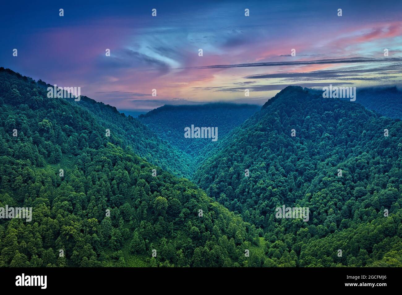Mtirala National Park, Adjara, Georgia Stock Photo - Alamy