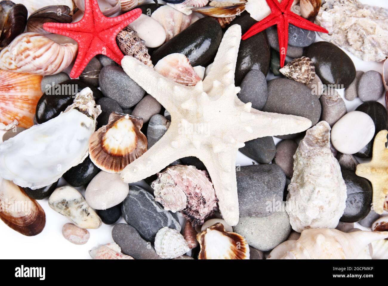 Close up of sea stones and shells Stock Photo - Alamy