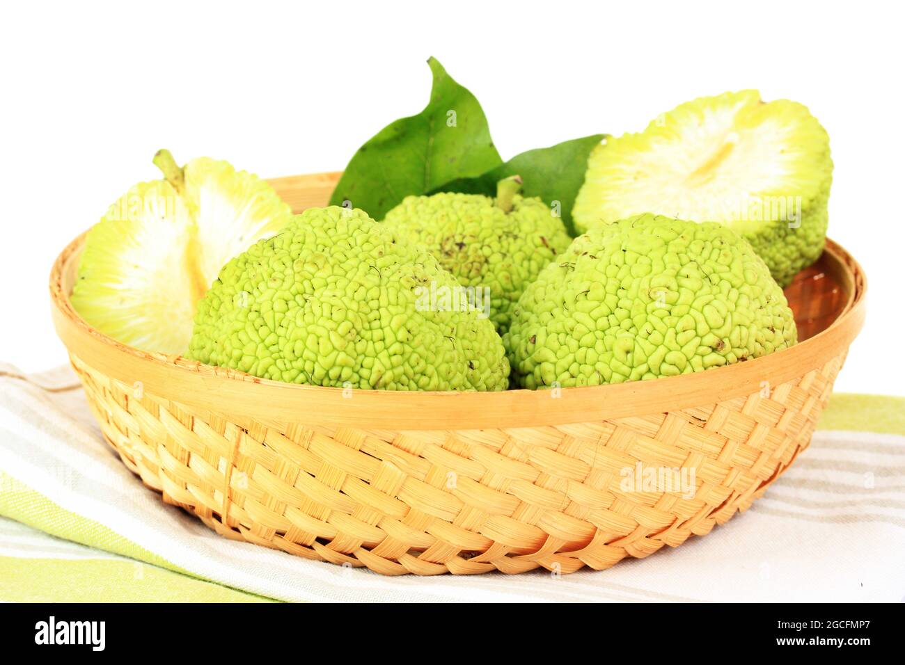 Osage Orange fruits (Maclura pomifera) in basket, isolated on white ...