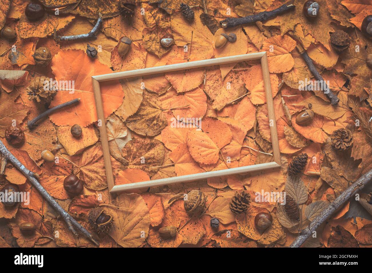 Vintage fall layout hi-res stock photography and images - Alamy