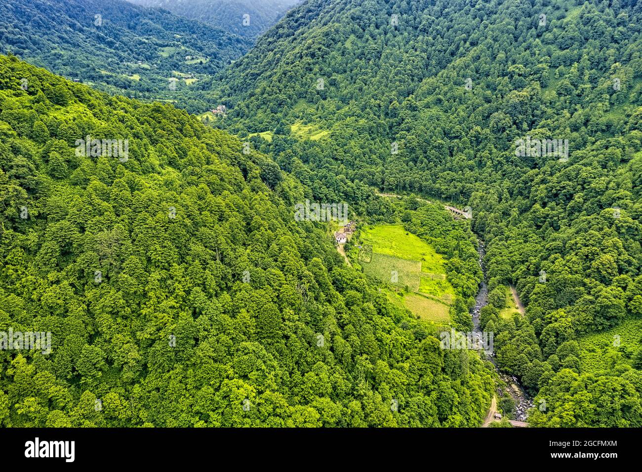 Mtirala National Park, Adjara, Georgia Stock Photo - Alamy