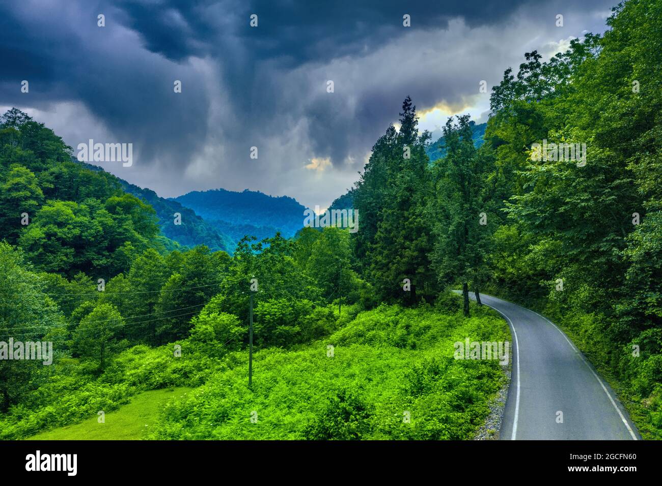 Mtirala National Park, Adjara, Georgia Stock Photo - Alamy