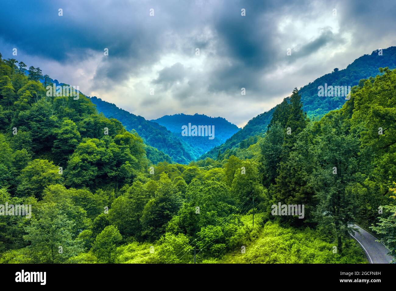Mtirala National Park, Adjara, Georgia Stock Photo - Alamy