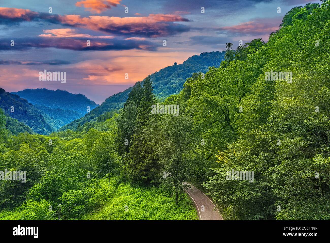 Mtirala National Park, Adjara, Georgia Stock Photo - Alamy