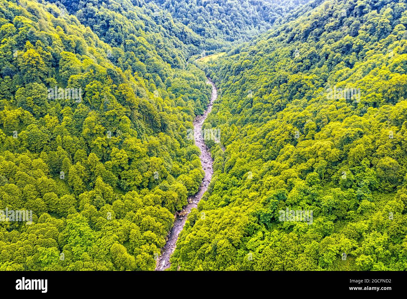 Mtirala National Park, Adjara, Georgia Stock Photo - Alamy