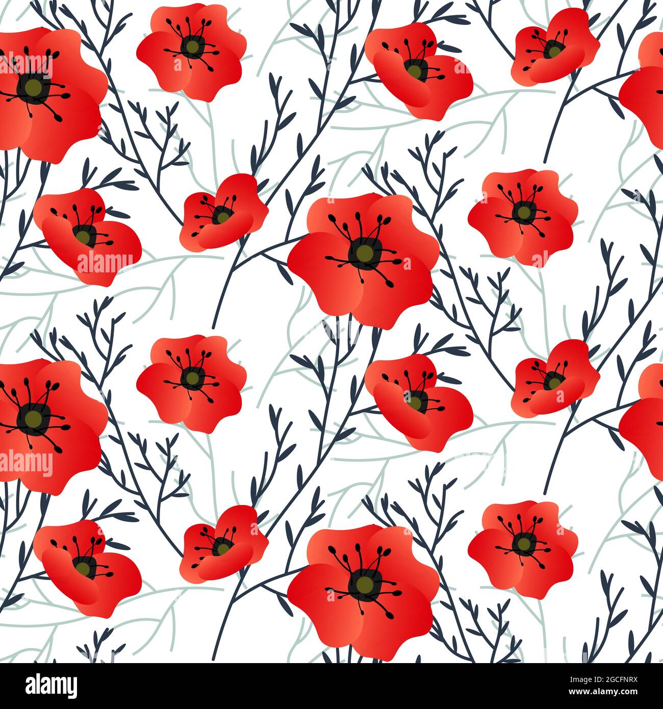 Pattern with red poppies. Vector illustration isolated on white ...