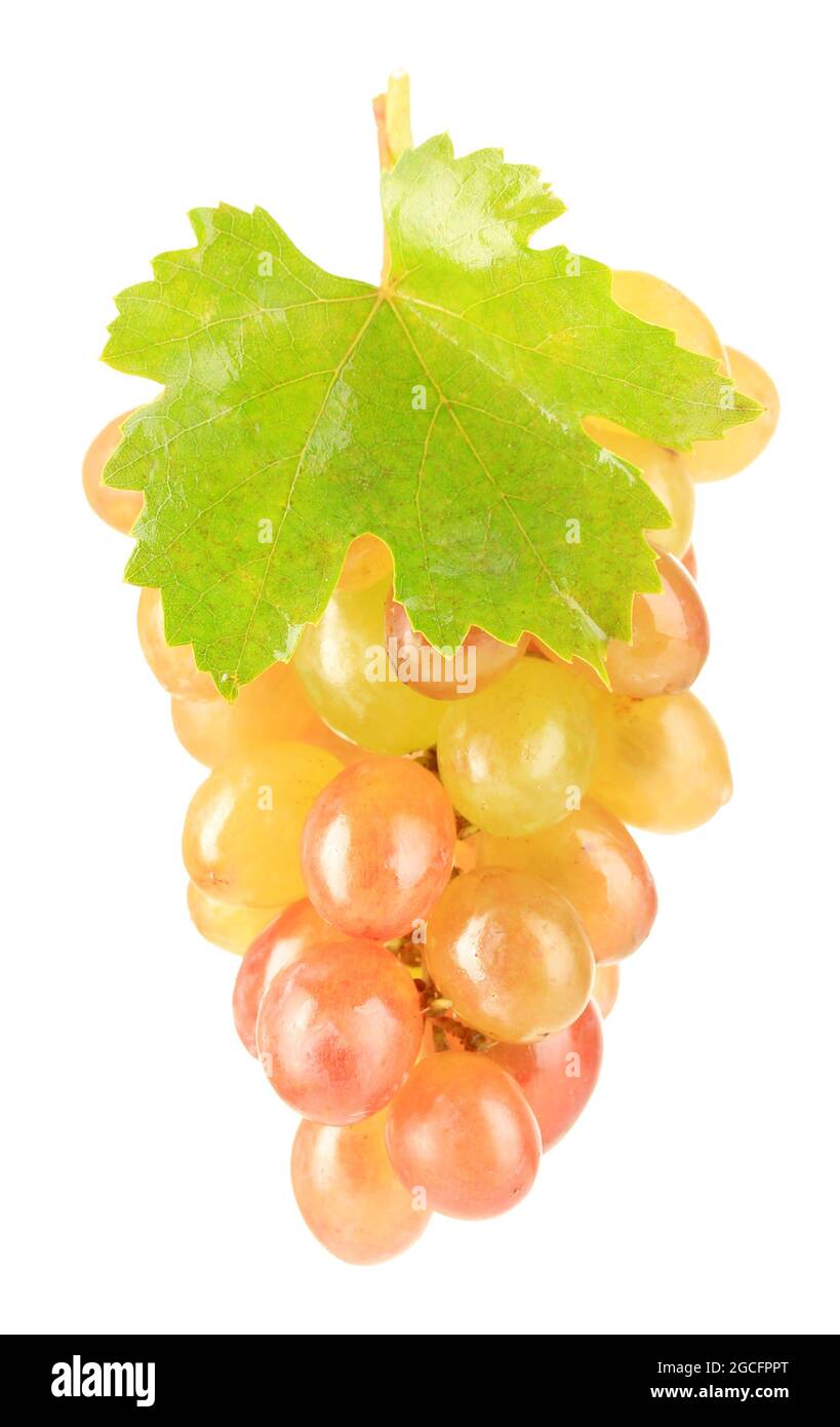 Ripe sweet grape, isolated on white Stock Photo - Alamy