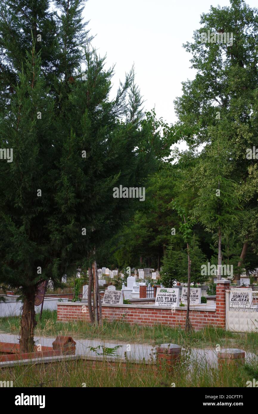 Islamic Cemetery, Marble Graves and Tombstones Under Trees Stock Photo ...