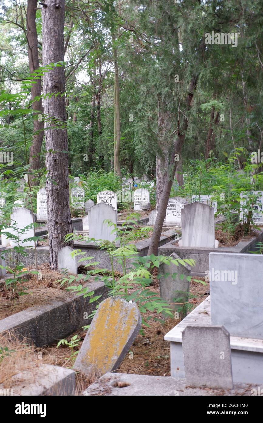 Islamic Cemetery, Marble Graves and Headstones Under Trees Outdoor ...