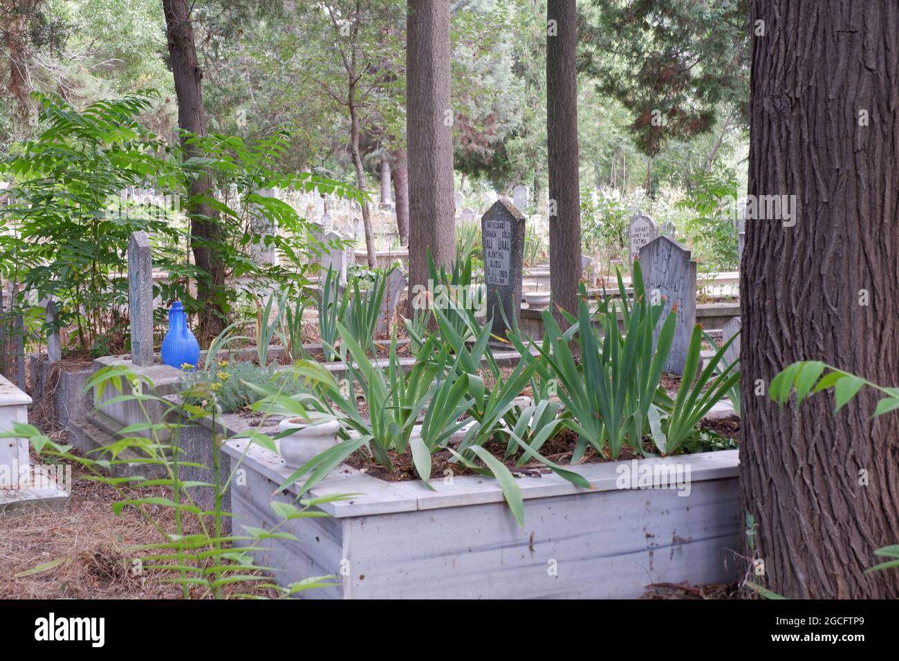 Islamic Cemetery, Marble Graves and Headstones Under Trees Outdoor ...