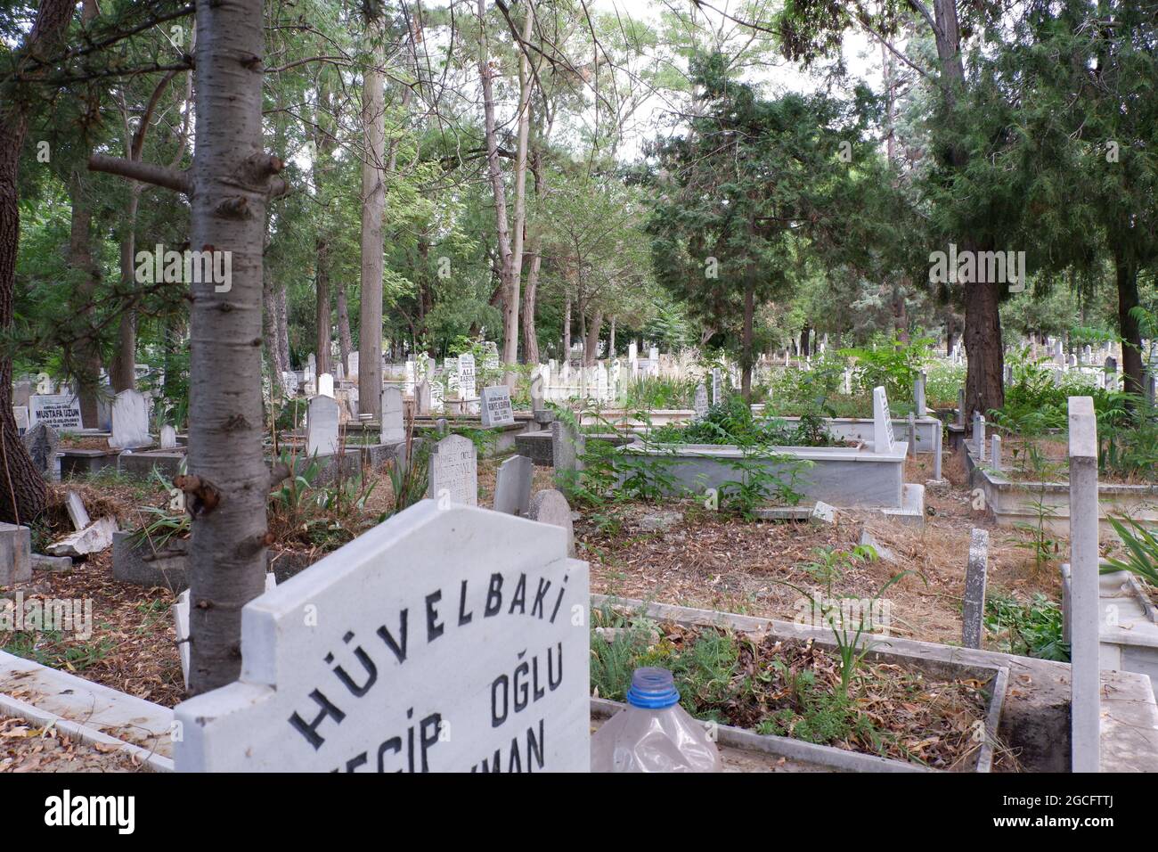 Islamic Cemetery, Marble Graves and Headstones Under Trees Outdoor ...