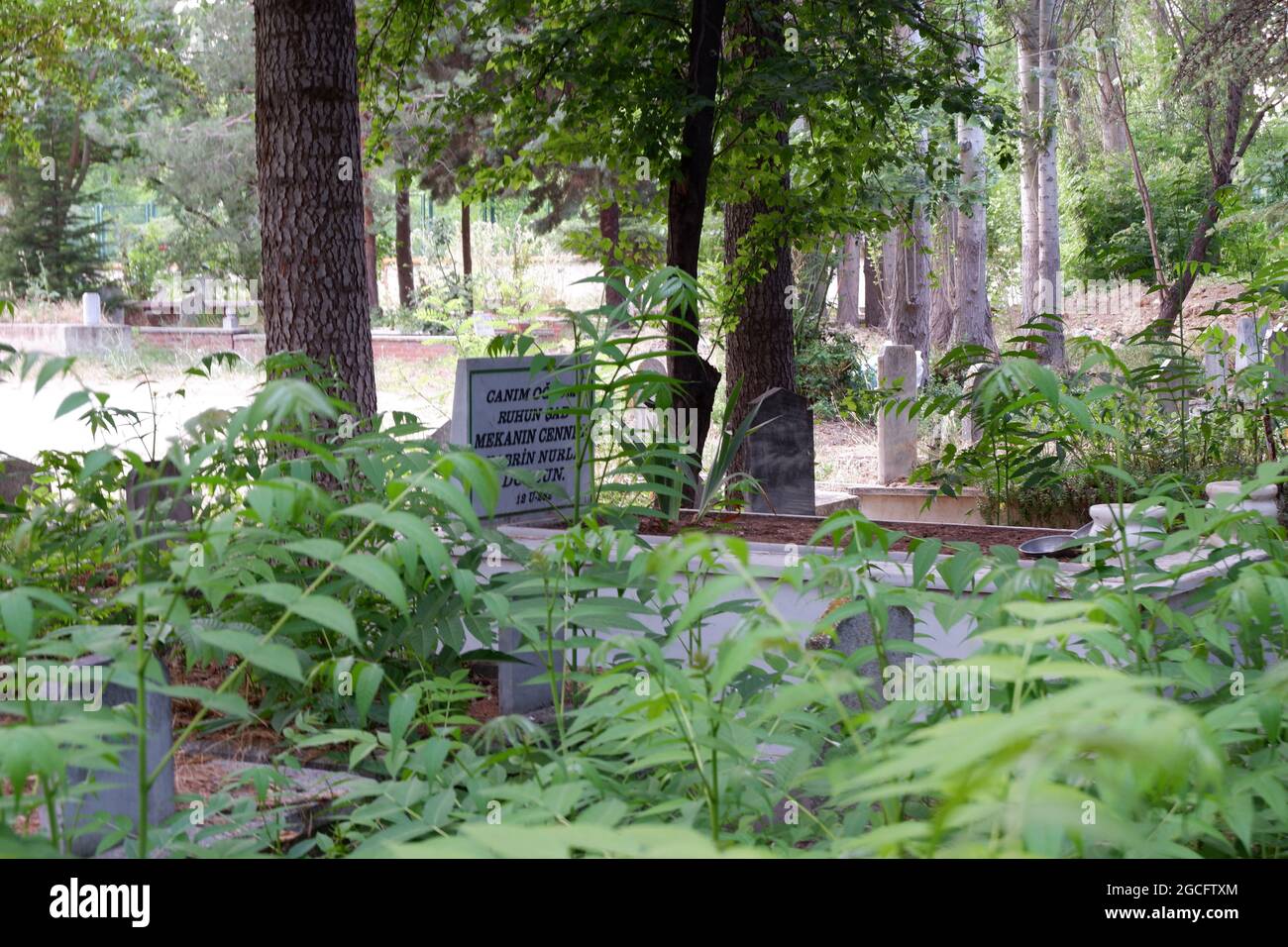 Islamic Cemetery, Marble Graves and Headstones Under Trees Outdoor ...