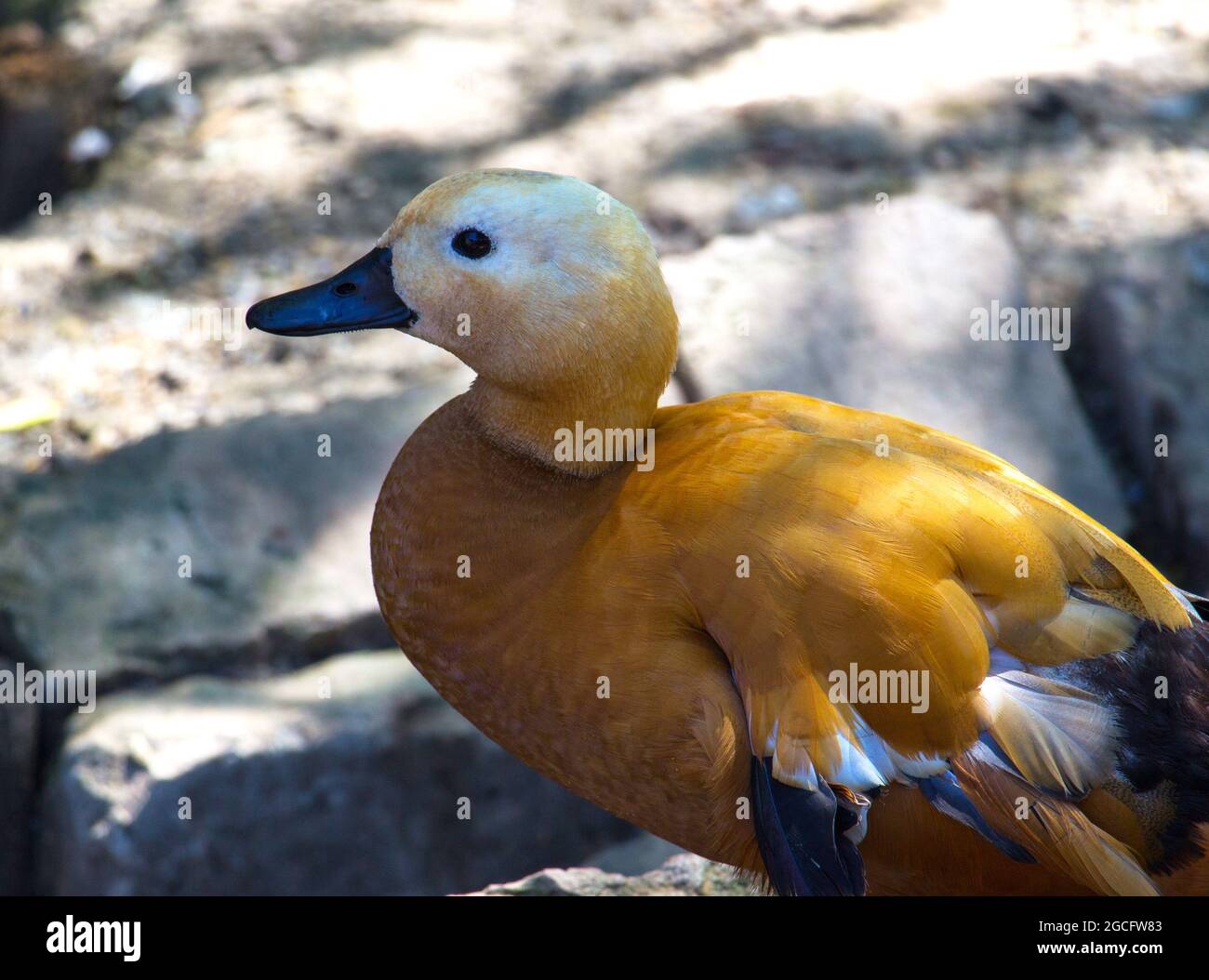 Inland reservoirs hi-res stock photography and images - Alamy