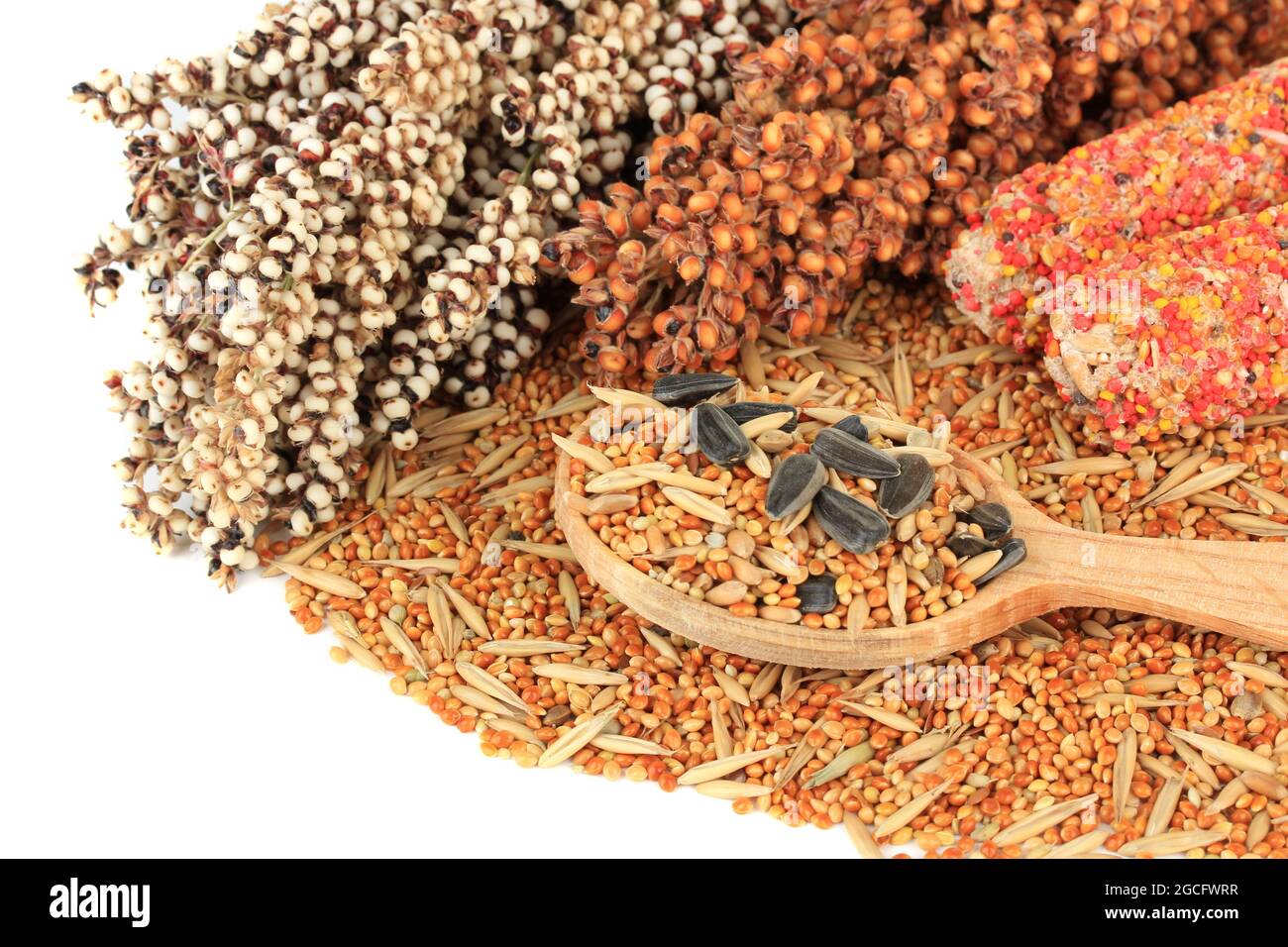 Food for parrots on white background Stock Photo - Alamy