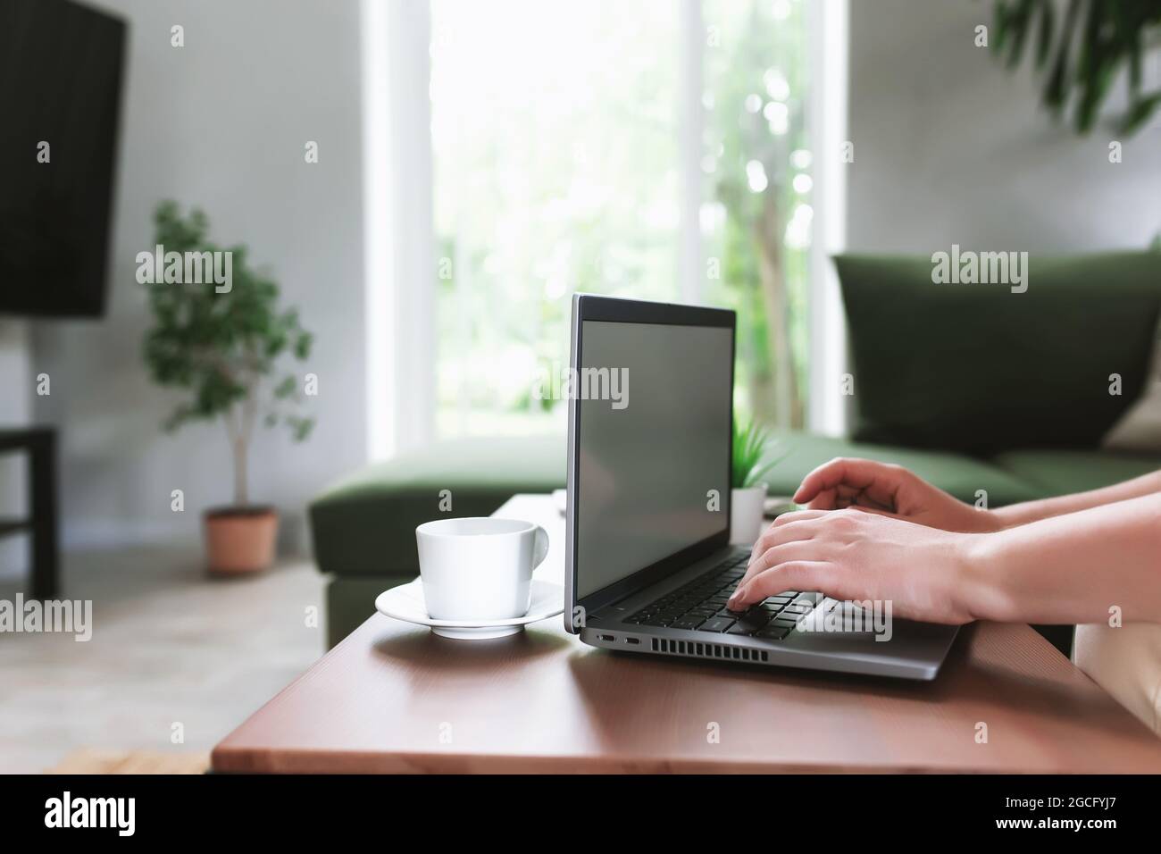 Hands typing, printing on gray laptop notebook. Work from home ...