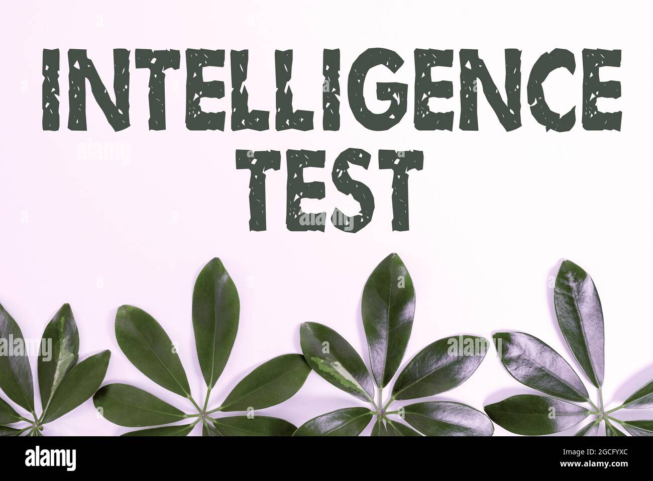 Sign displaying Intelligence Test. Business approach test designed to ...