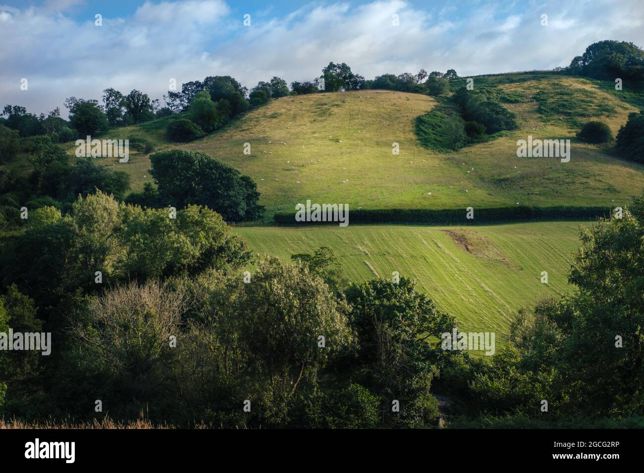 Welsh fields hi-res stock photography and images - Alamy