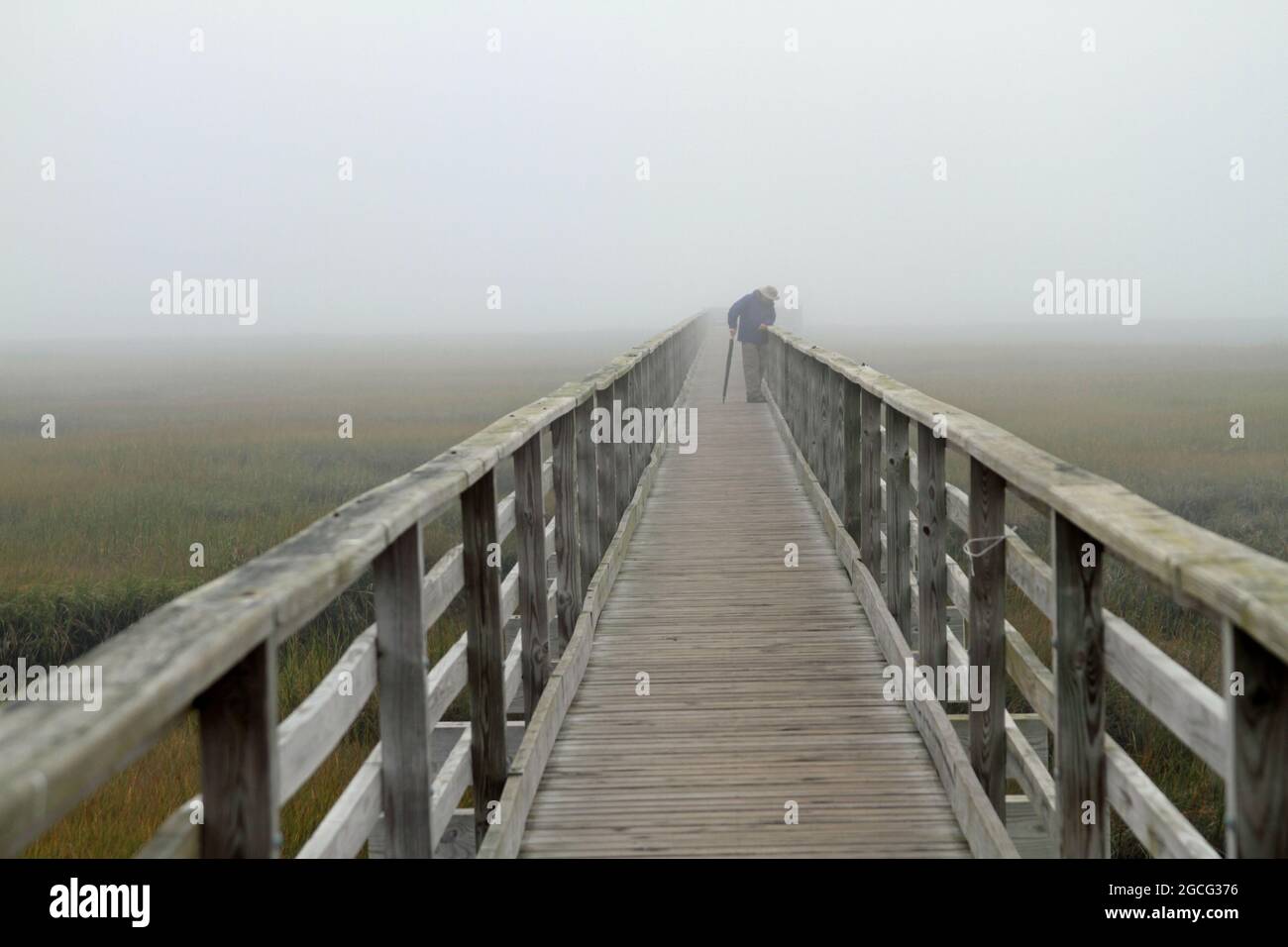 A ghostly figure shrouded in dense fog along the Bass Hole boardwalk in ...