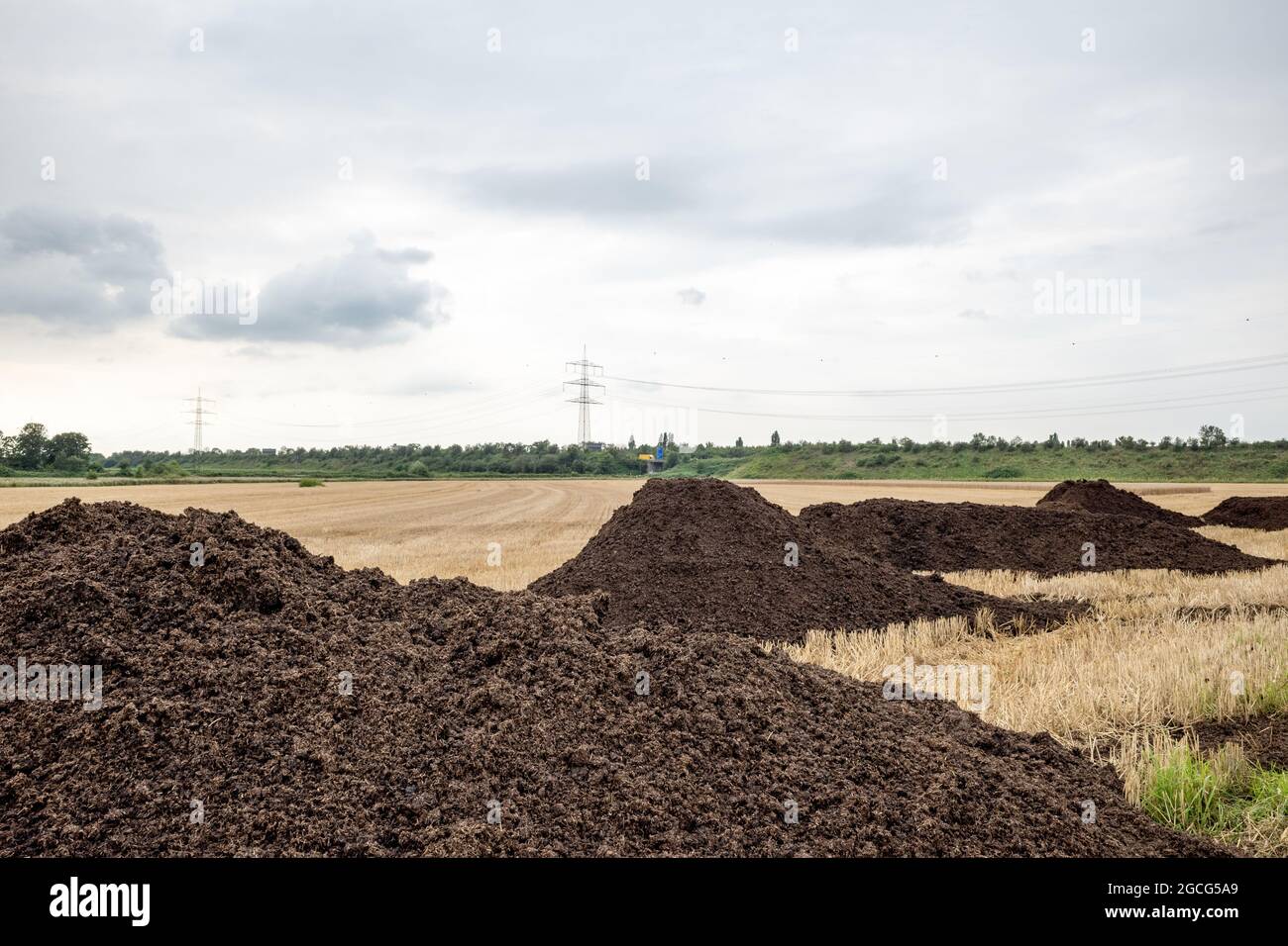 Fresh heap of manure hi-res stock photography and images - Alamy