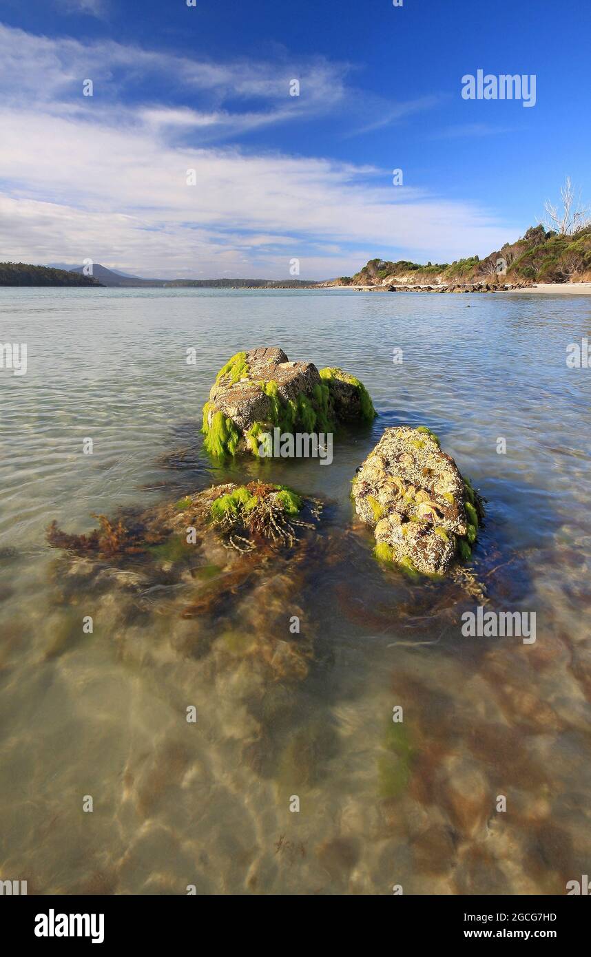 a body of water at southport in tasmania Stock Photo - Alamy