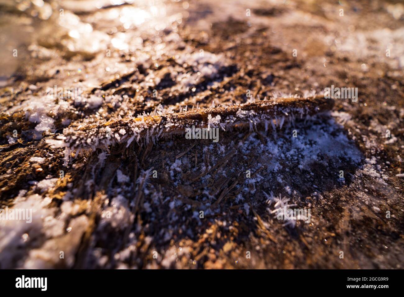 A closeup of the ground covered in the grass and frost under the ...
