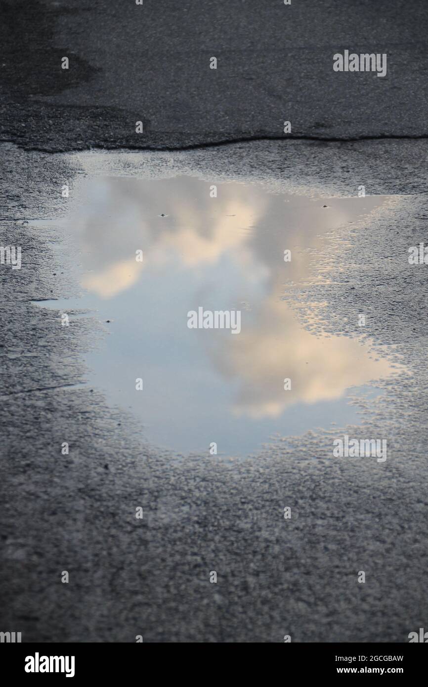 A vertical shot of a small rain pond on the ground with the sky ...
